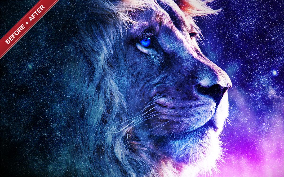 Photo Lion_2 edited by atom - Phowd